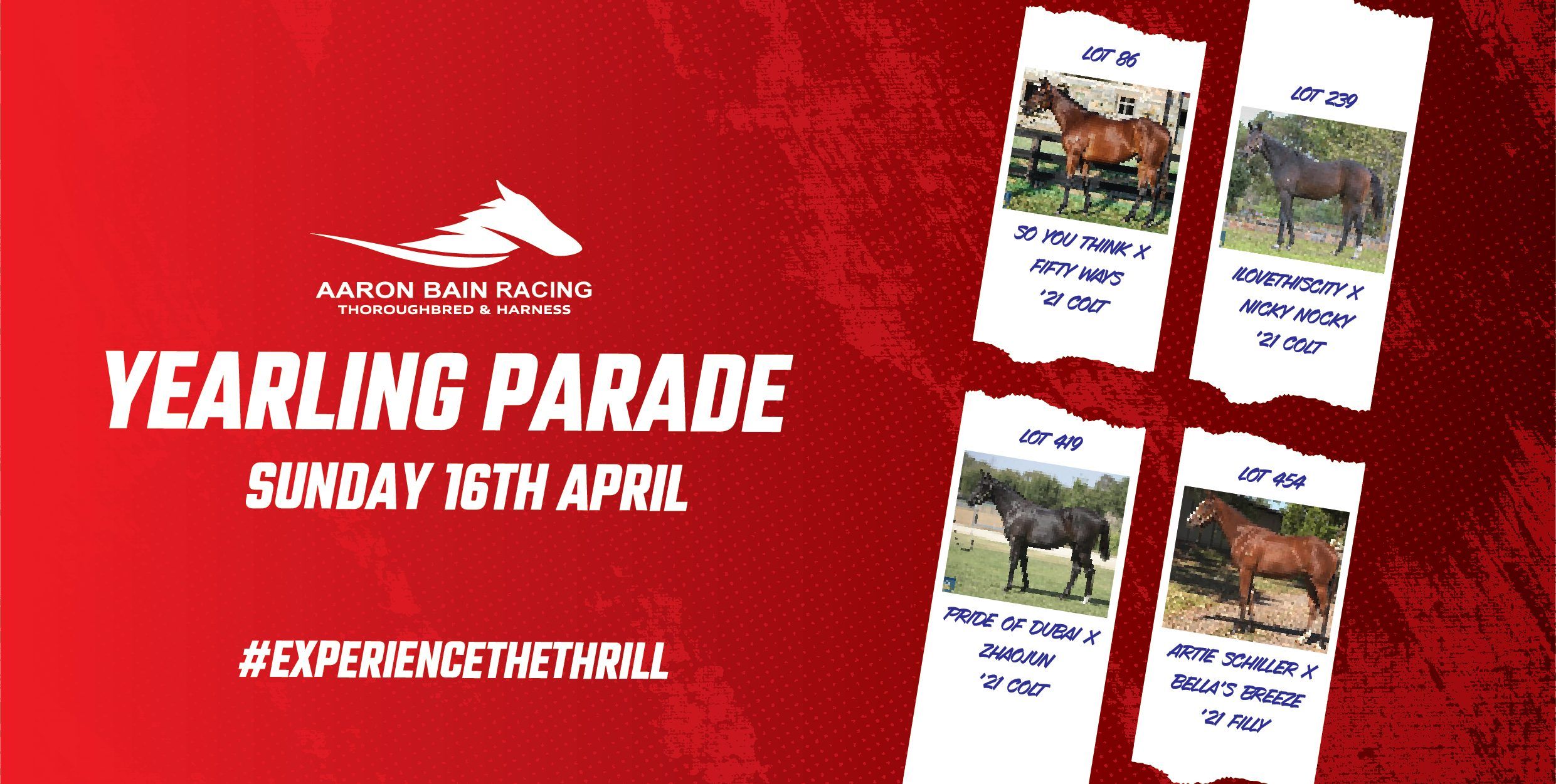 Home - Aaron Bain Racing