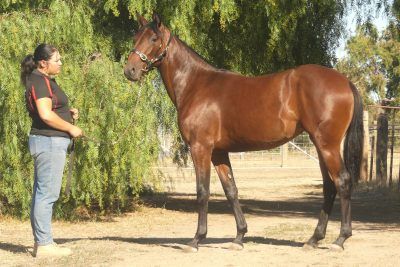 Home - Aaron Bain Racing