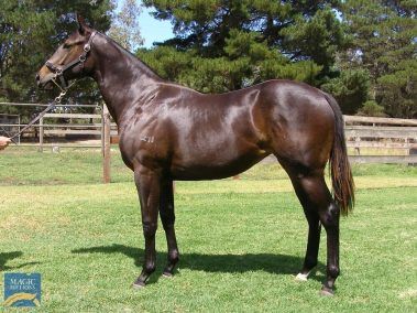 Home - Aaron Bain Racing