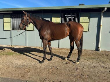 Home - Aaron Bain Racing