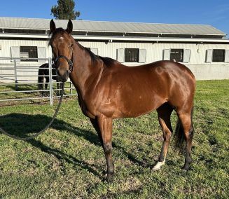 Home - Aaron Bain Racing