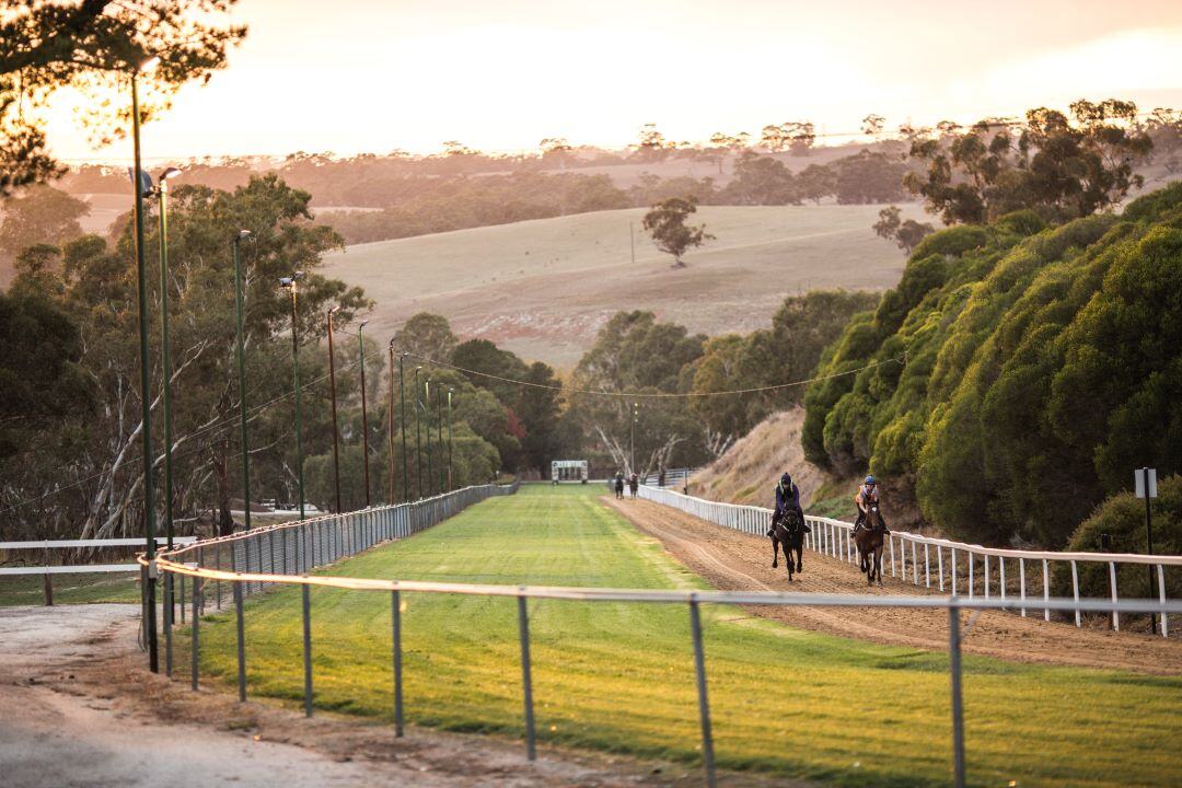 Home - Aaron Bain Racing