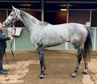 Home - Aaron Bain Racing