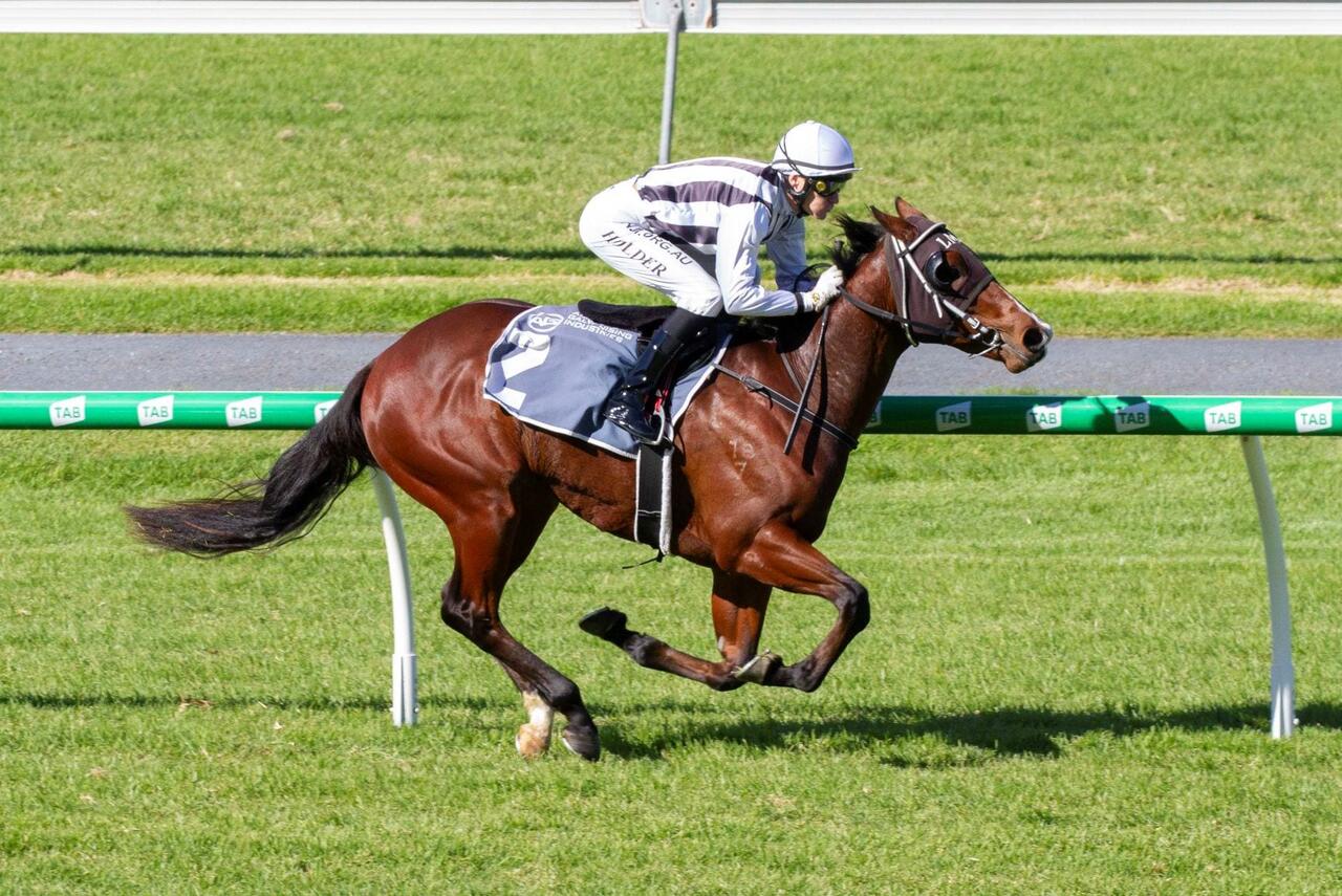 Saturday March 27, 2021 - Autumn in Adelaide! - Macdonald Gluyas Racing