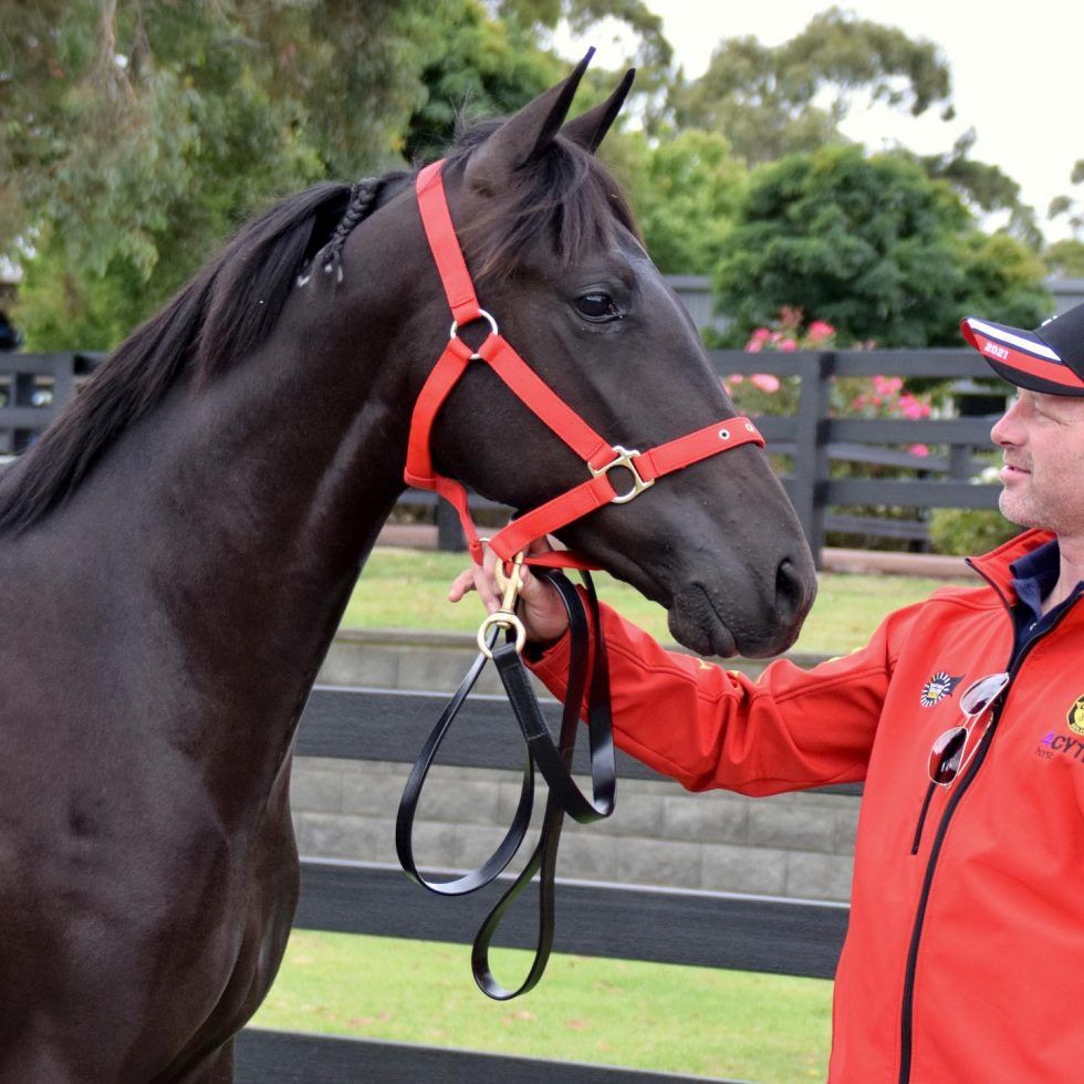 Our Team - Mattie Craven Racing