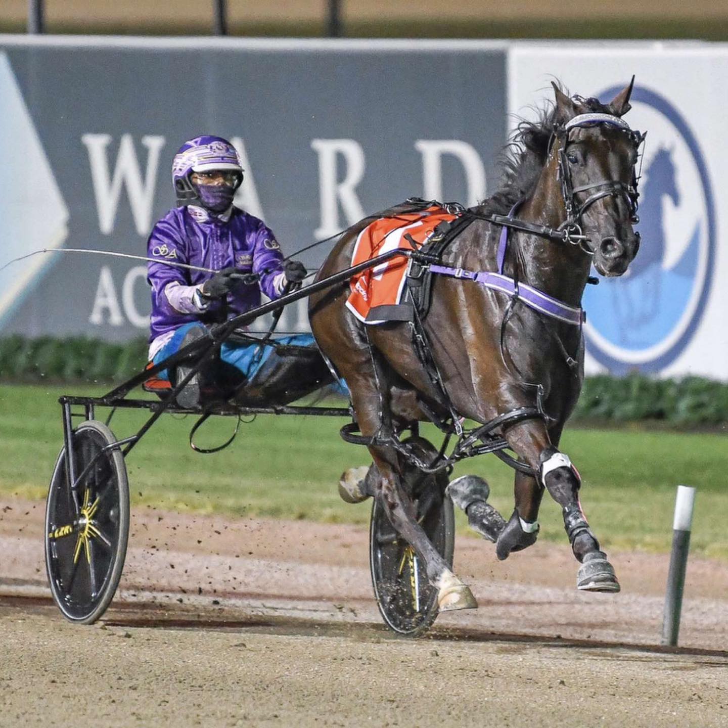 Our Team - Mattie Craven Racing