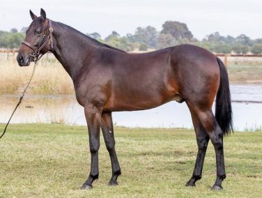 Home - Mattie Craven Racing