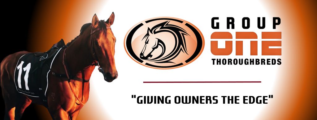 Group One Thoroughbreds Premier Syndicator - Racehorse Shares