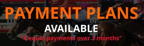 Group One Thoroughbreds | Racehorse Syndicator - Racing Syndicates