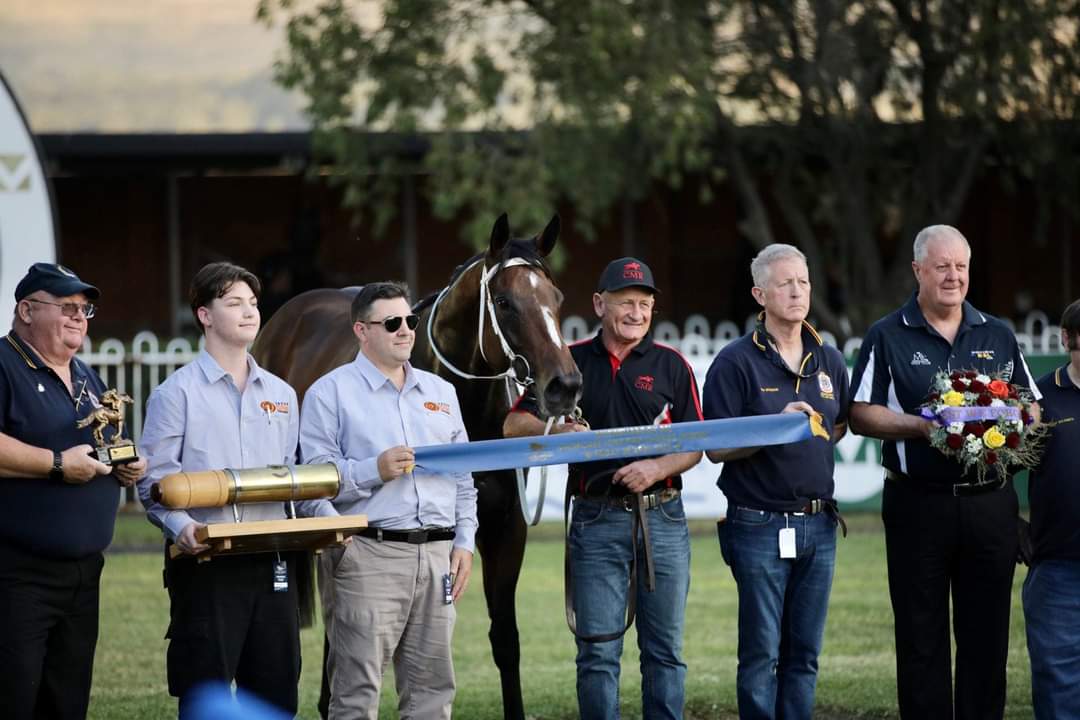 Gallery - Group One Thoroughbreds