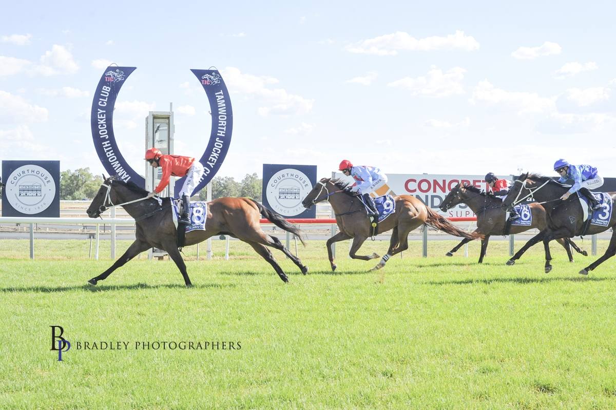 Group One Thoroughbreds Racehorse Syndicator - Horse shares available