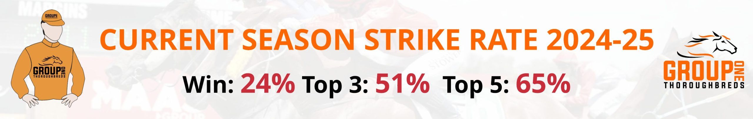 Group One Thoroughbreds Racehorse Syndicator - Horse shares available