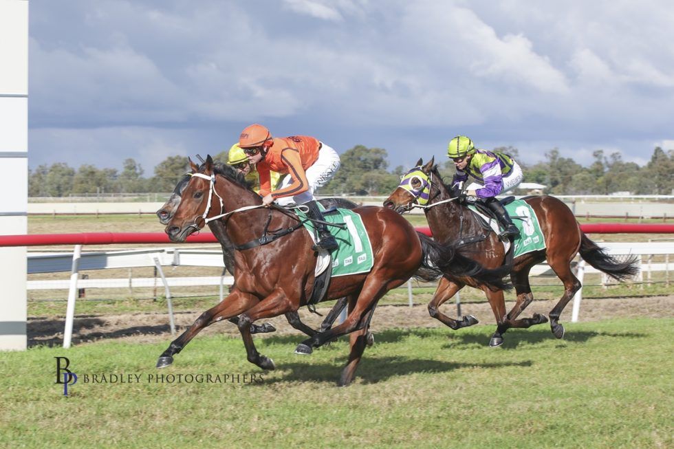 SPANISH NIGHT SHINES ON DEBUT - Group One Thoroughbreds