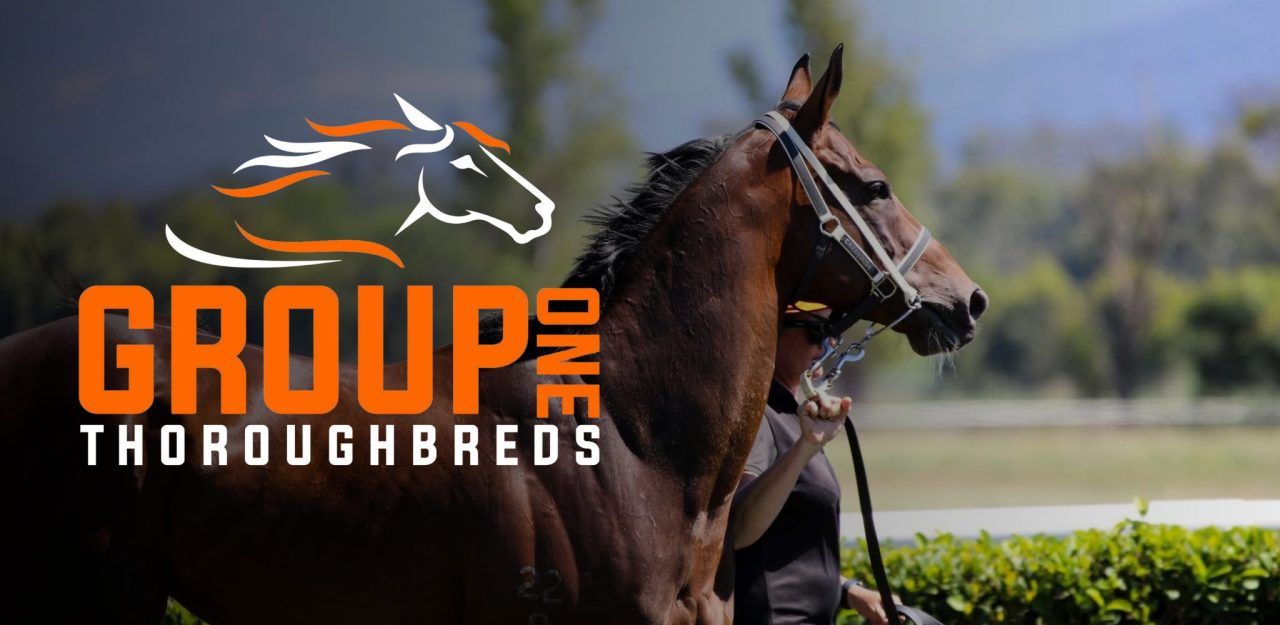 Group One Thoroughbreds -Trusted Syndicator - Racehorse Ownership