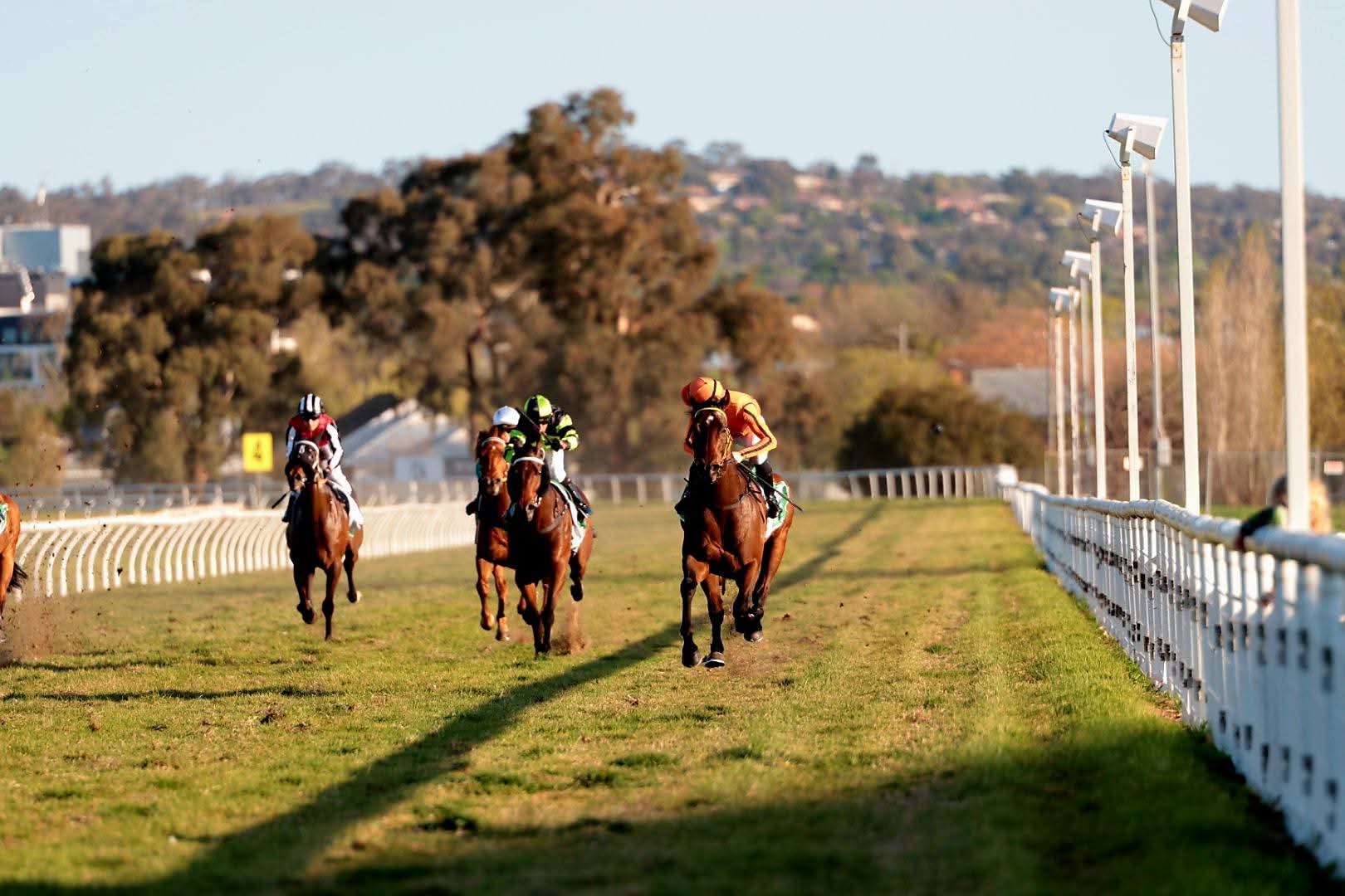 Group One Thoroughbreds -Trusted Syndicator - Racehorse Ownership