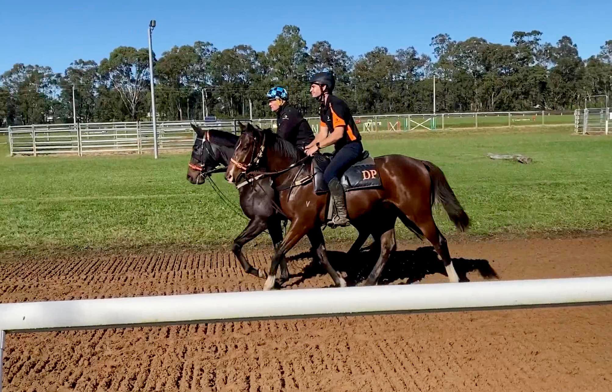 Racing Club No 4 Own and race 8 horse with the best trainers in Australia