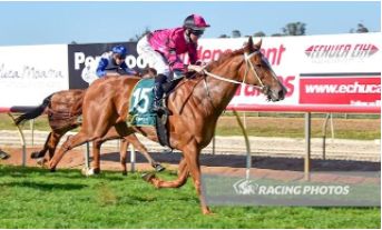 Llessur - Scott Cameron Racing