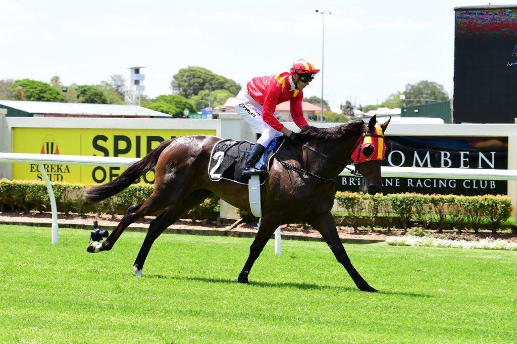 Miss Penfold Takes Home First Place At Doomben - Kelly Schweida Racing