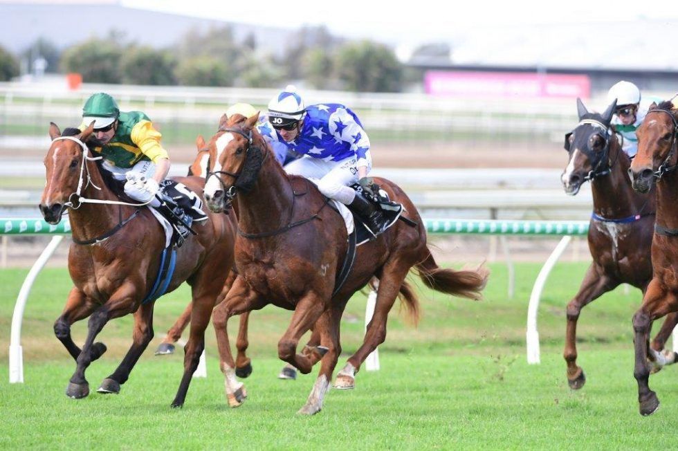 Aheadofhistime Wins At Doomben - Kelly Schweida Racing