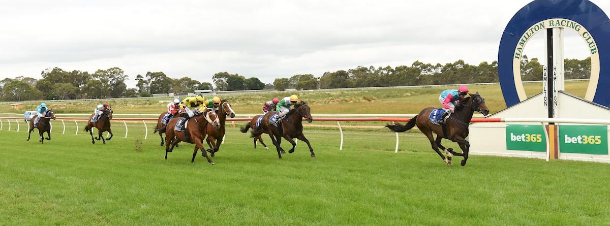 Buzz Punch finds distance "sweet spot" - Malady Racing