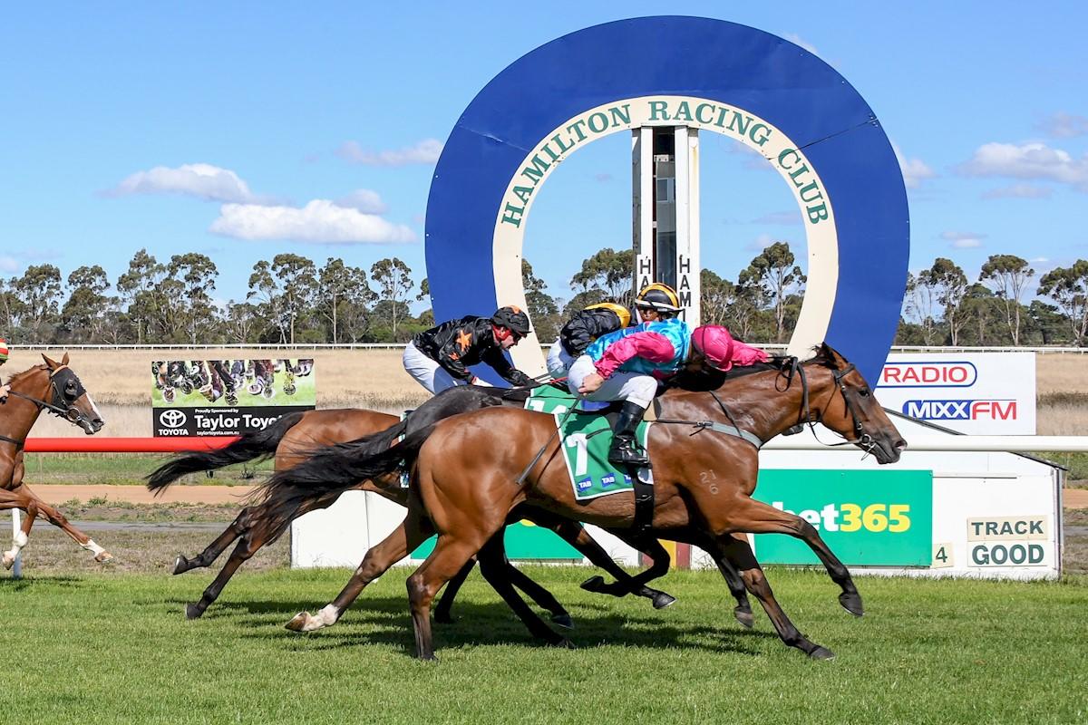 "Rudy" nails last stride win - Malady Racing