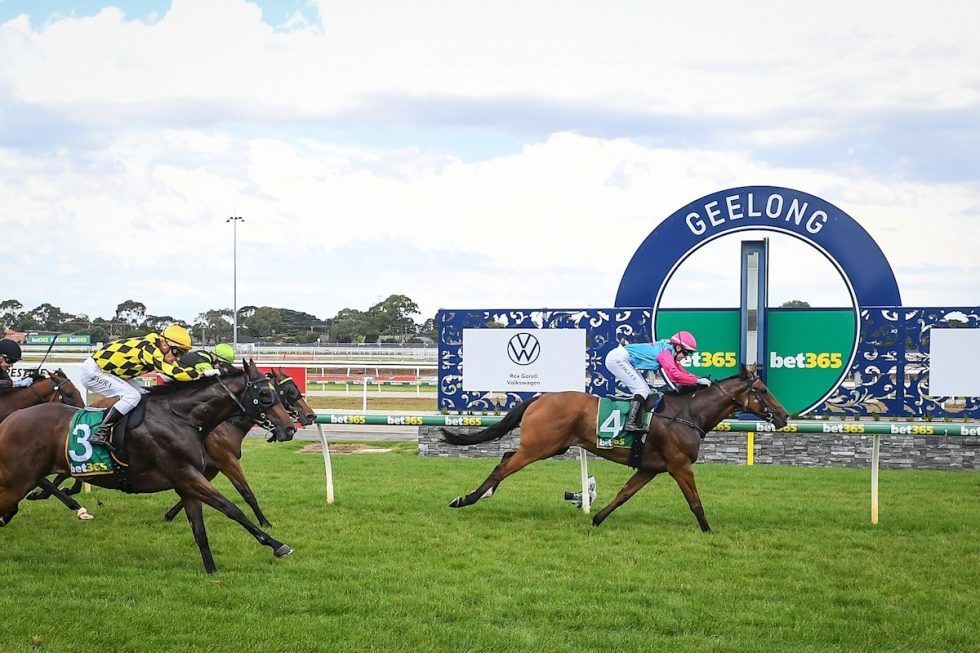 "Rudy" goes back to back at Geelong - Malady Racing
