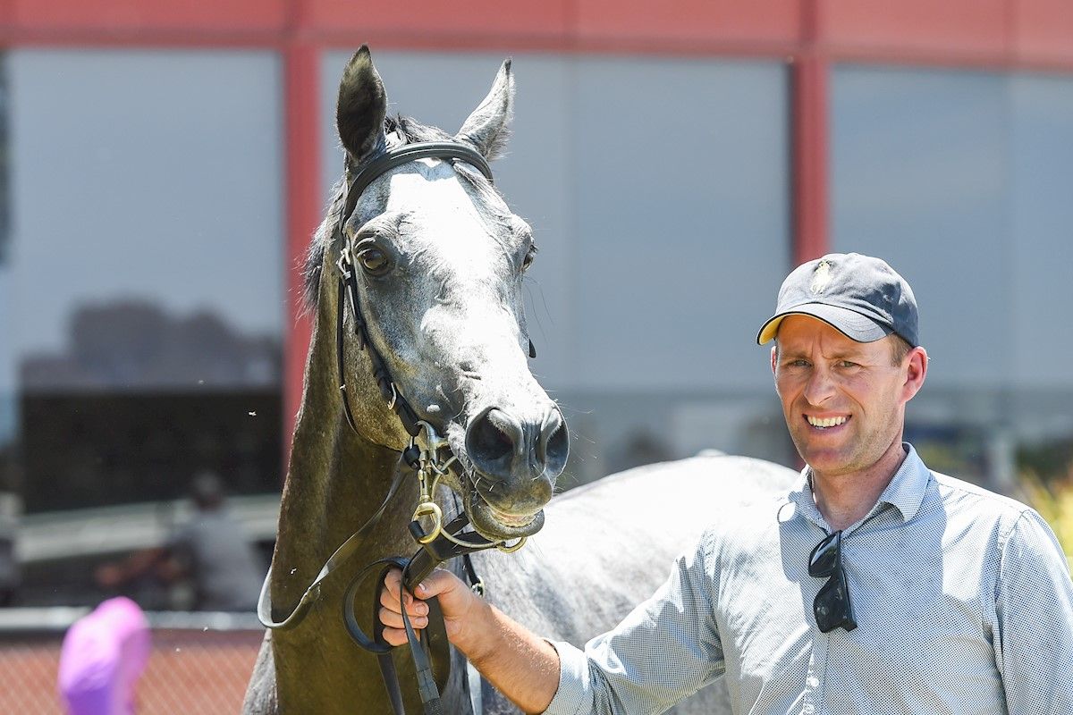 Australian Horse Trainer - Malady Racing