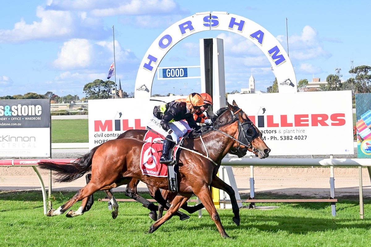 Firm track a Guaranteed winner - Malady Racing