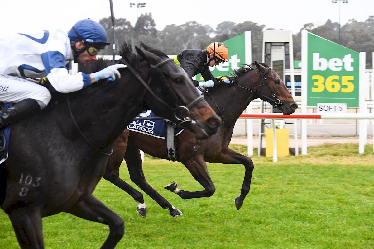 Fast Melody hits winning note with Maddi - Malady Racing