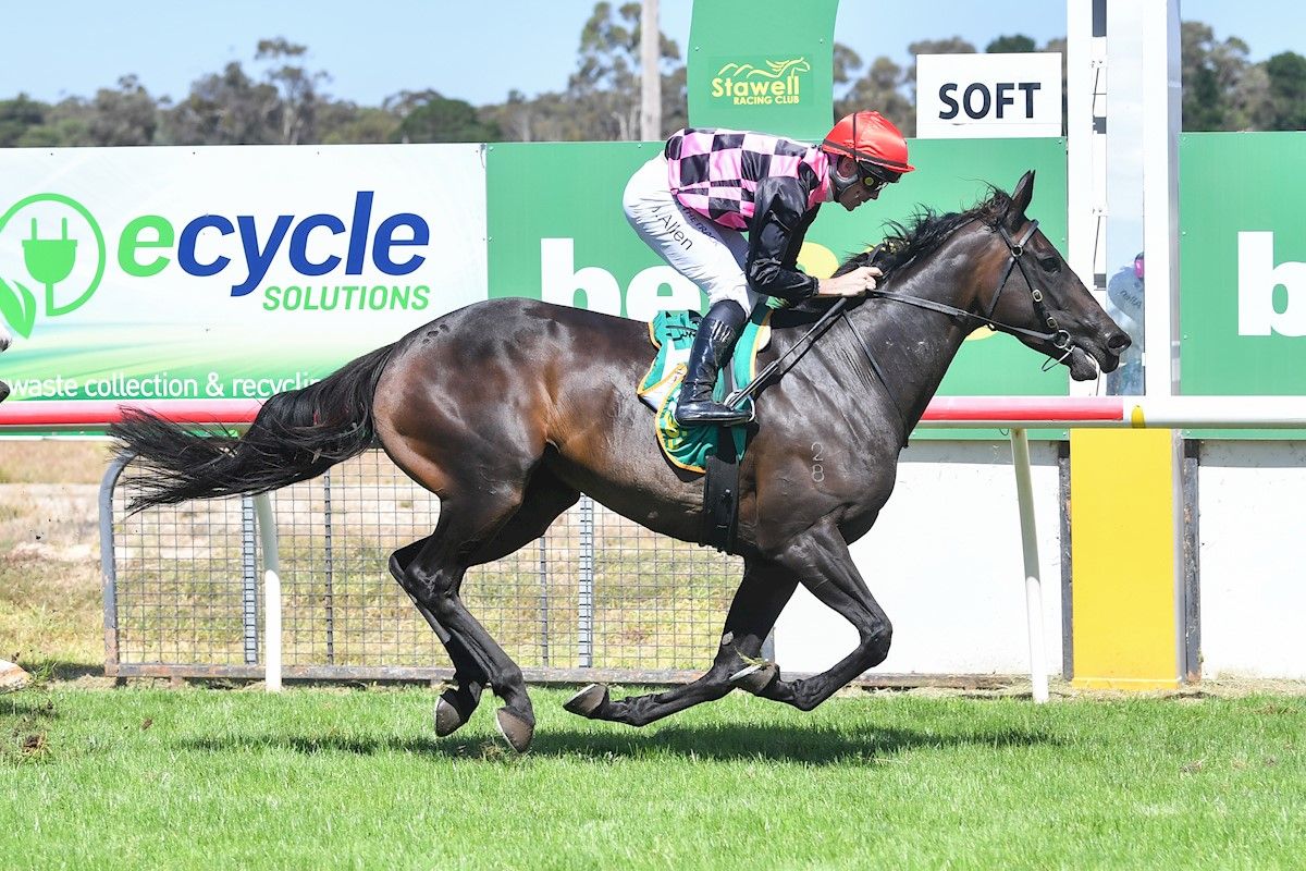 Australian Horse Trainer - Malady Racing