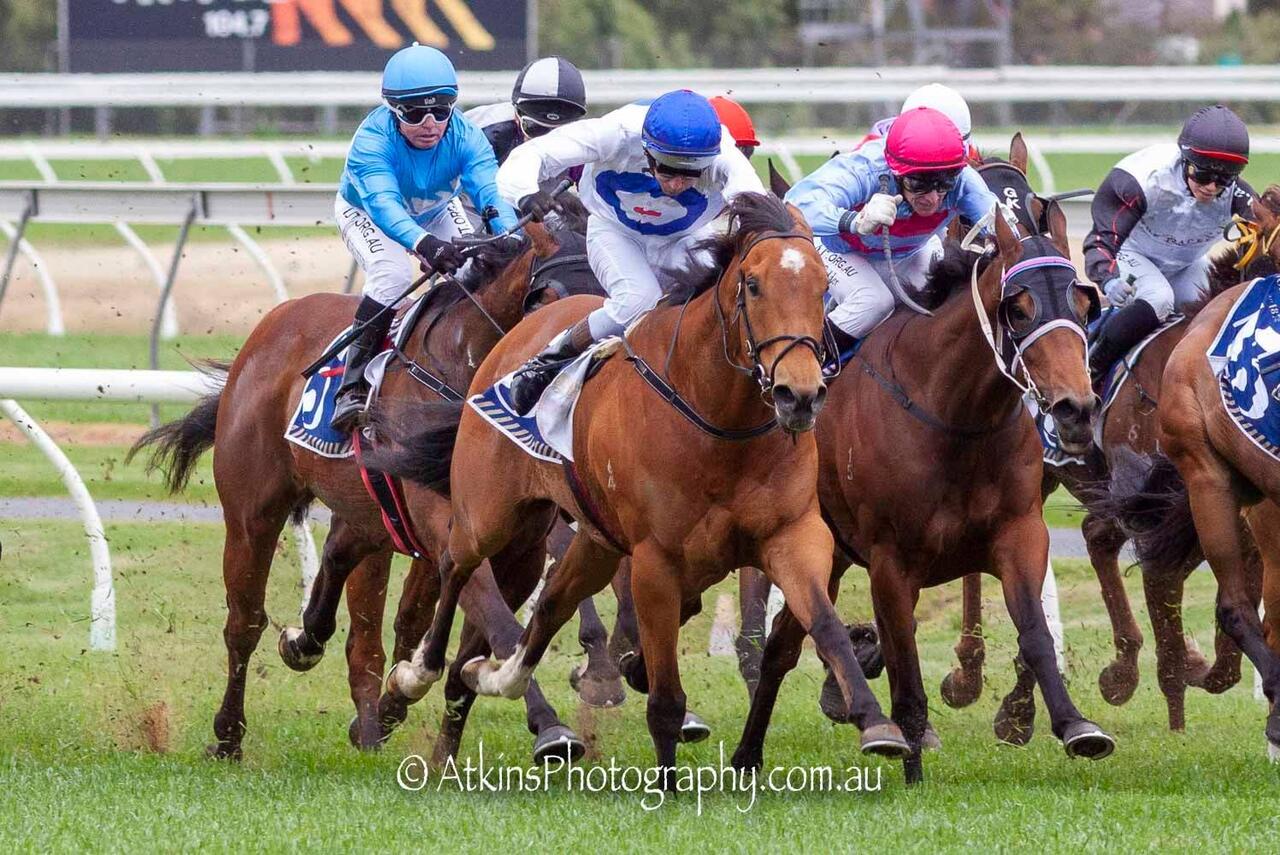 News - David Jolly Racing