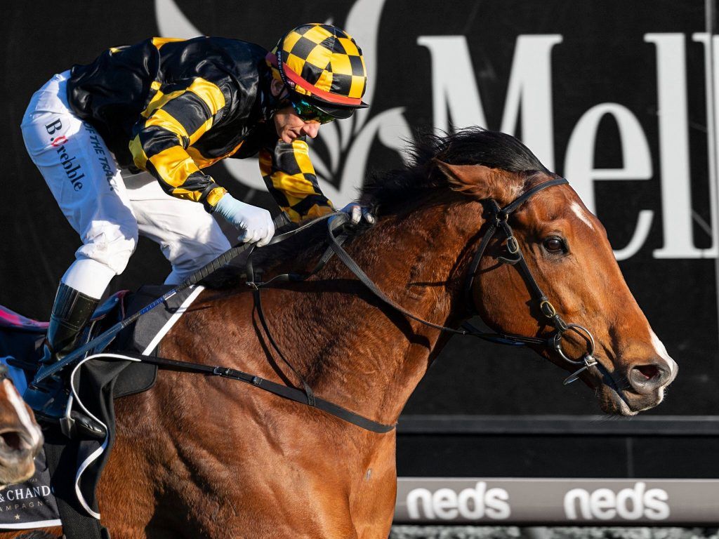 Home - David Jolly Racing