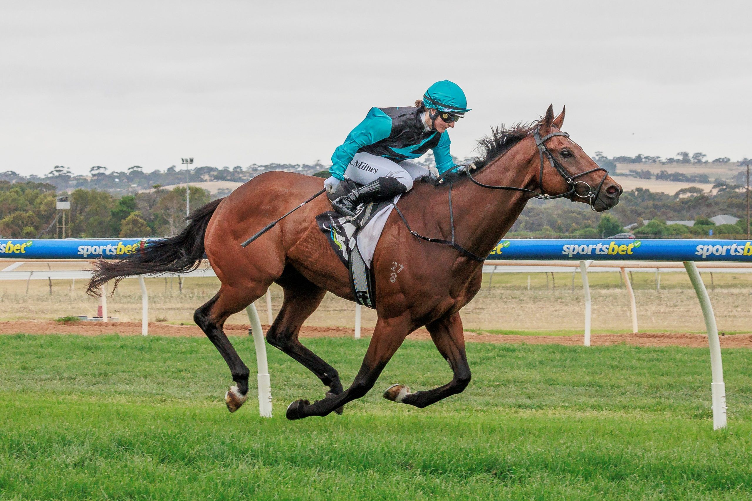 Home - David Jolly Racing