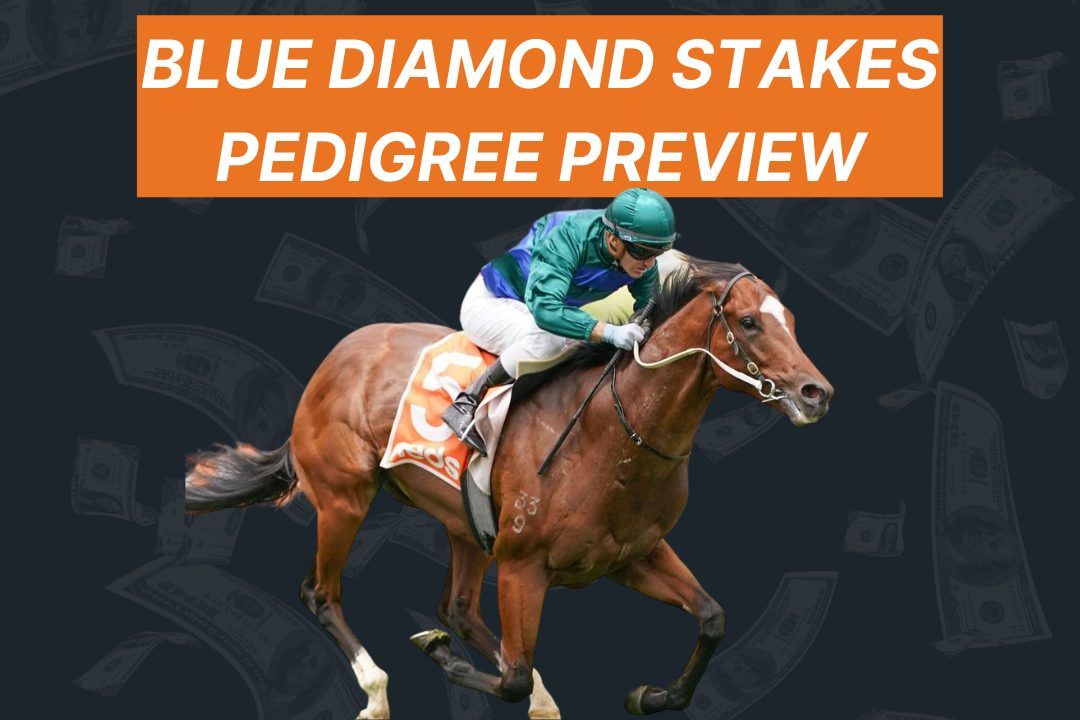 2022 Blue Diamond Stakes Pedigree Preview - The Mailbag Bloodstock