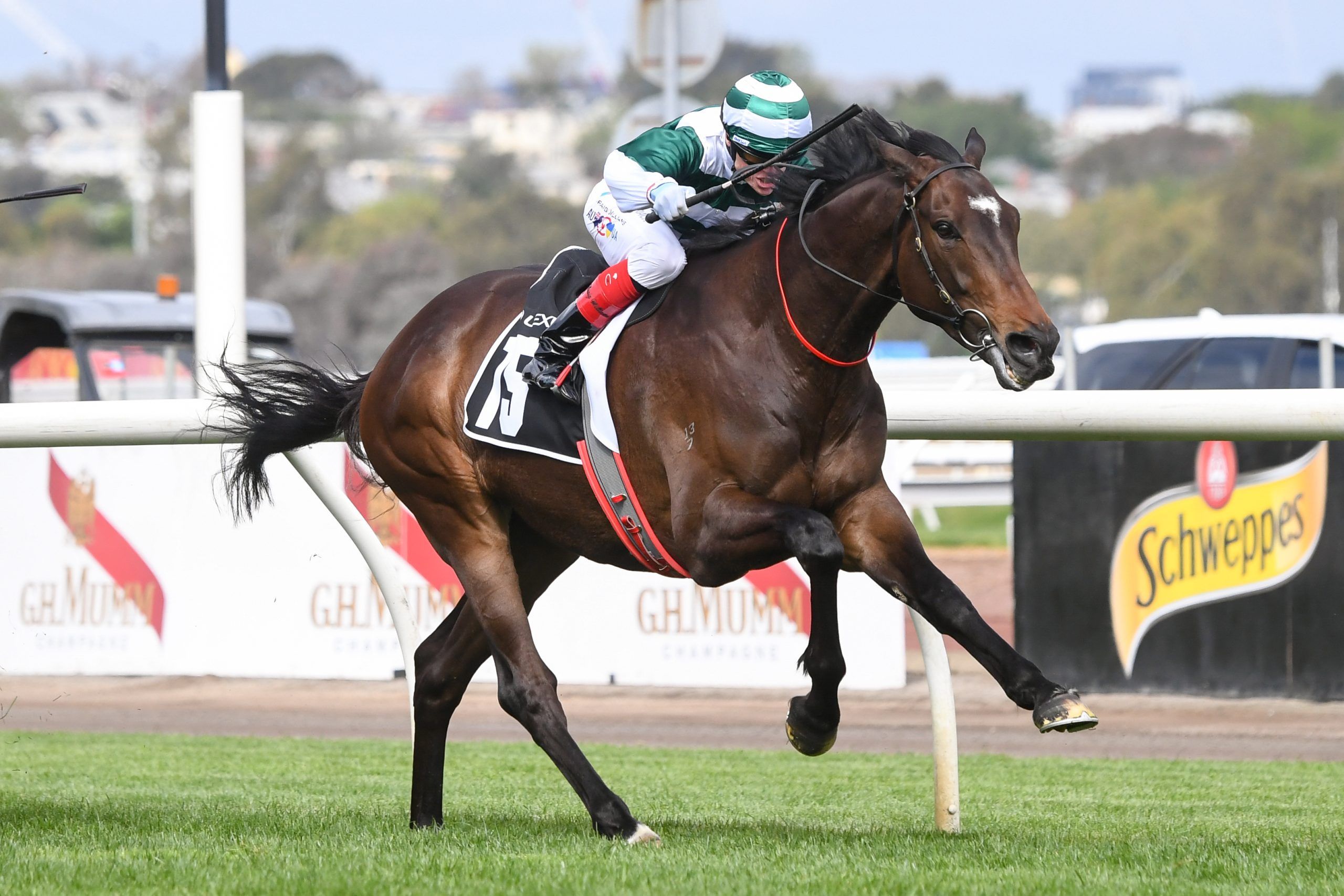 Press Room - Craig Williams