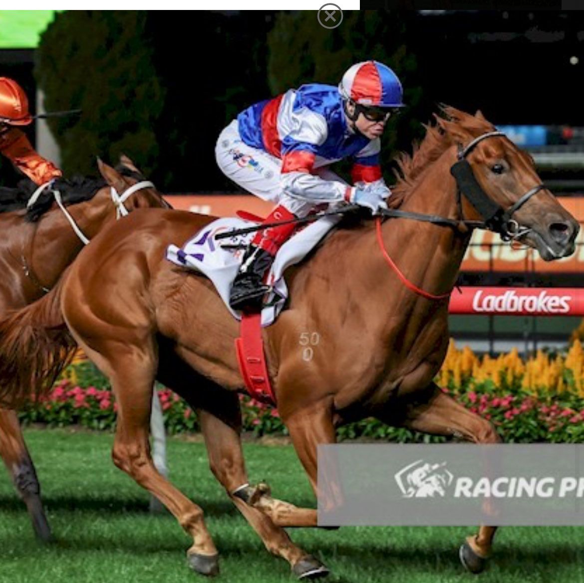 Holy Racket - Moonee Valley - Craig Williams