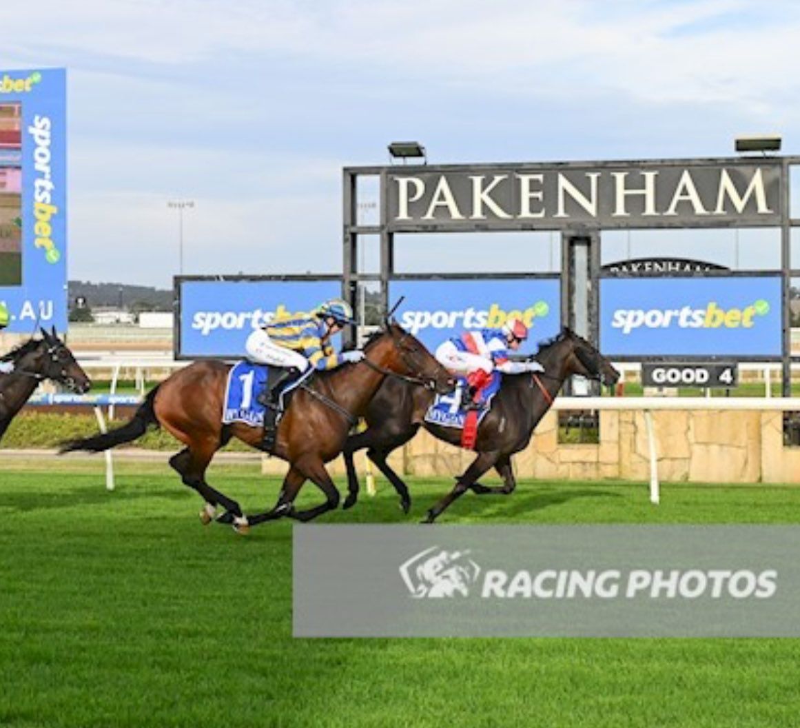 Prince Prawn - Pakenham - Craig Williams