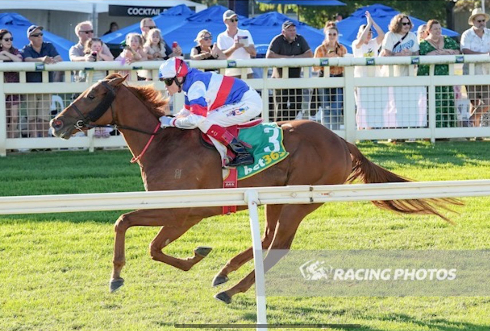 Holy Racket - Yarra Valley - Craig Williams