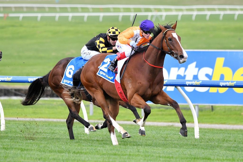 Red Galaxy - Sandown - Craig Williams