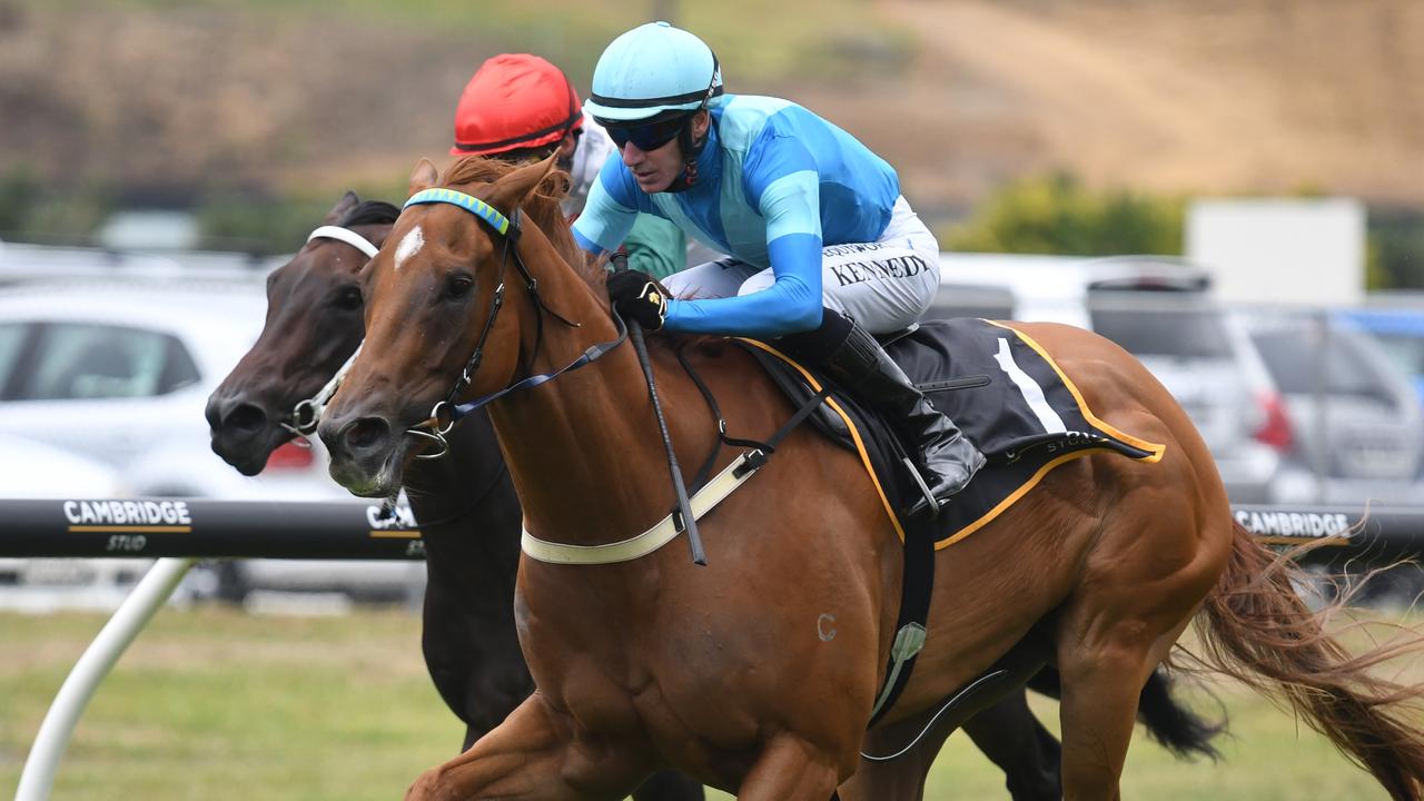 Superstar rider Craig Williams is booked to ride Crocetti in the $5M ...