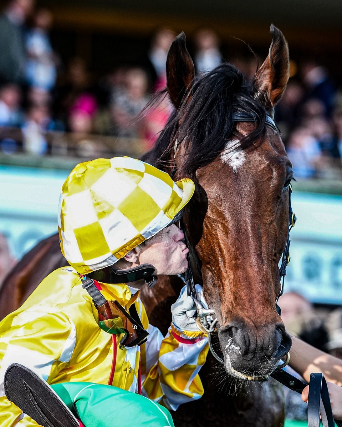 Sir Delius returns to the trials - Craig Williams