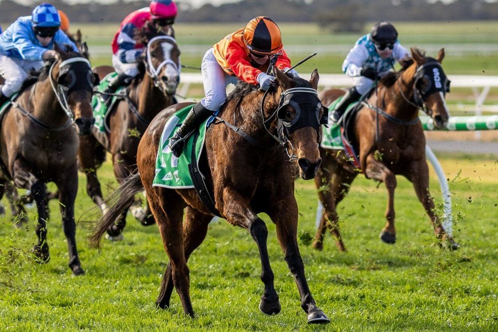 MADAM FURPHY AT THE BRIDGE - Darren Magro