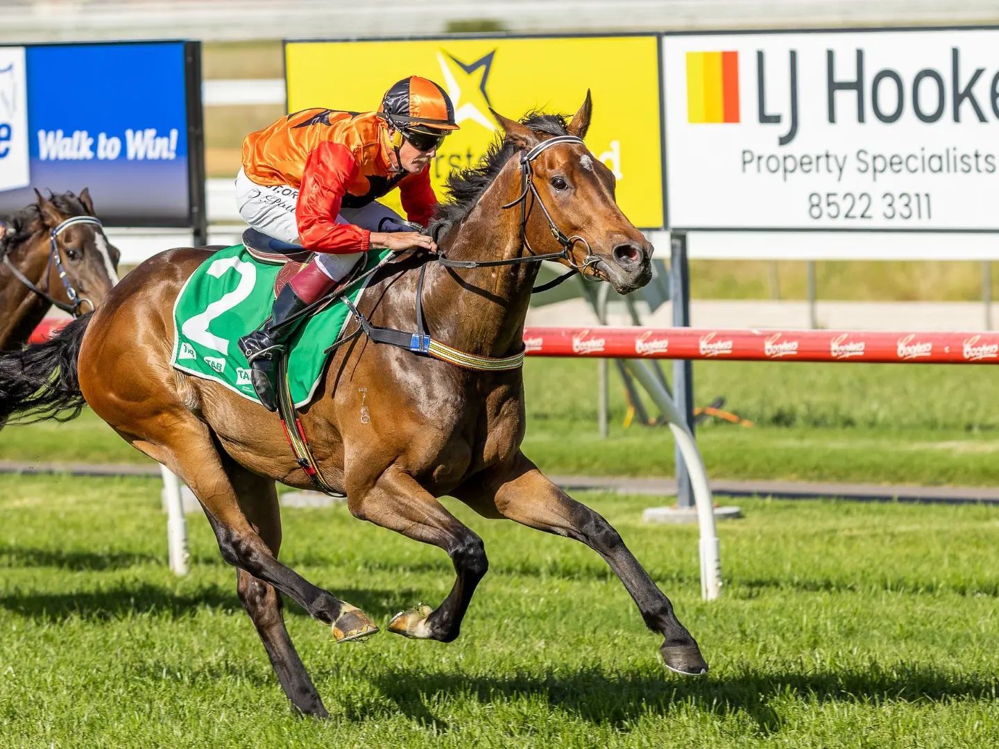 Home - Darren Magro Racing