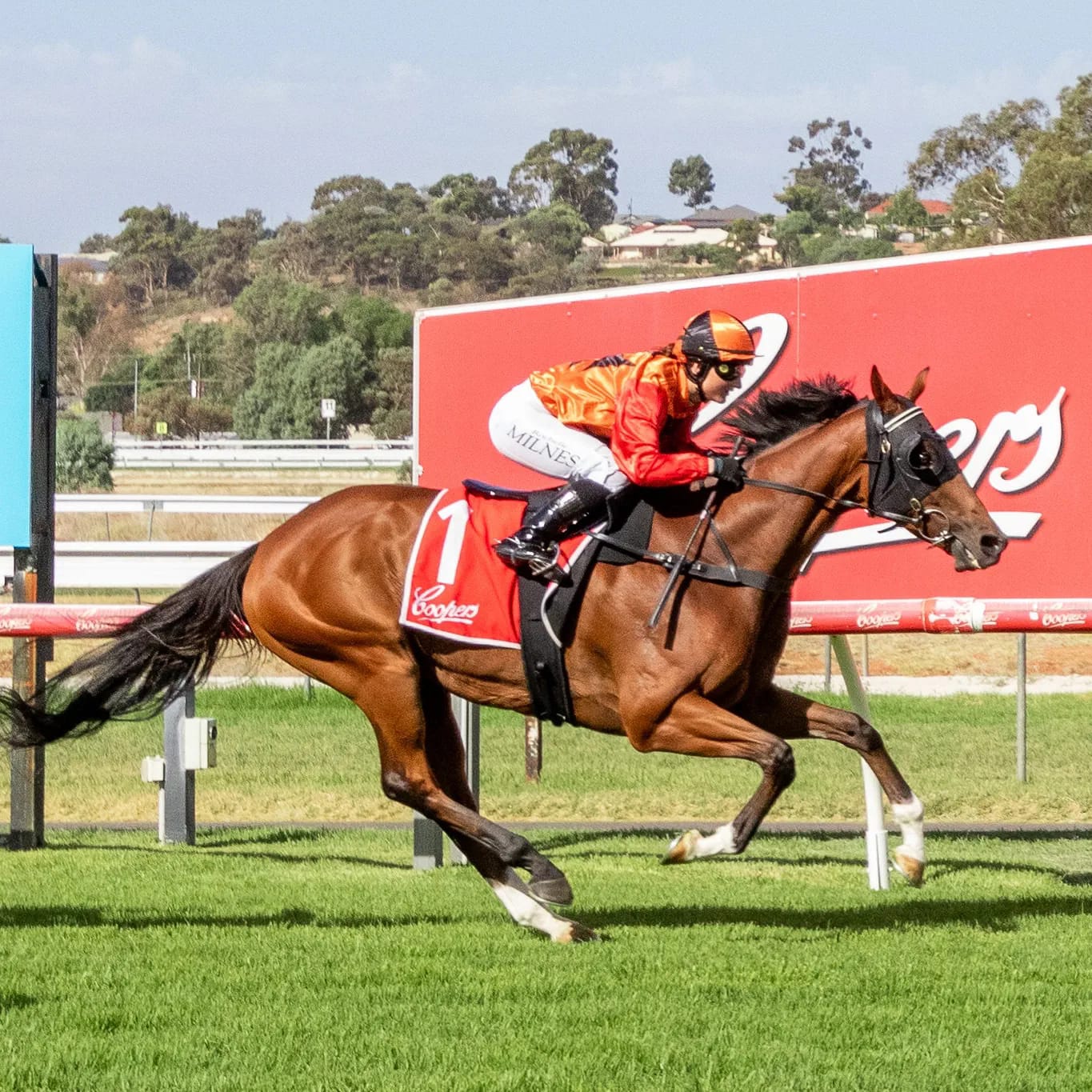 Home - Darren Magro Racing