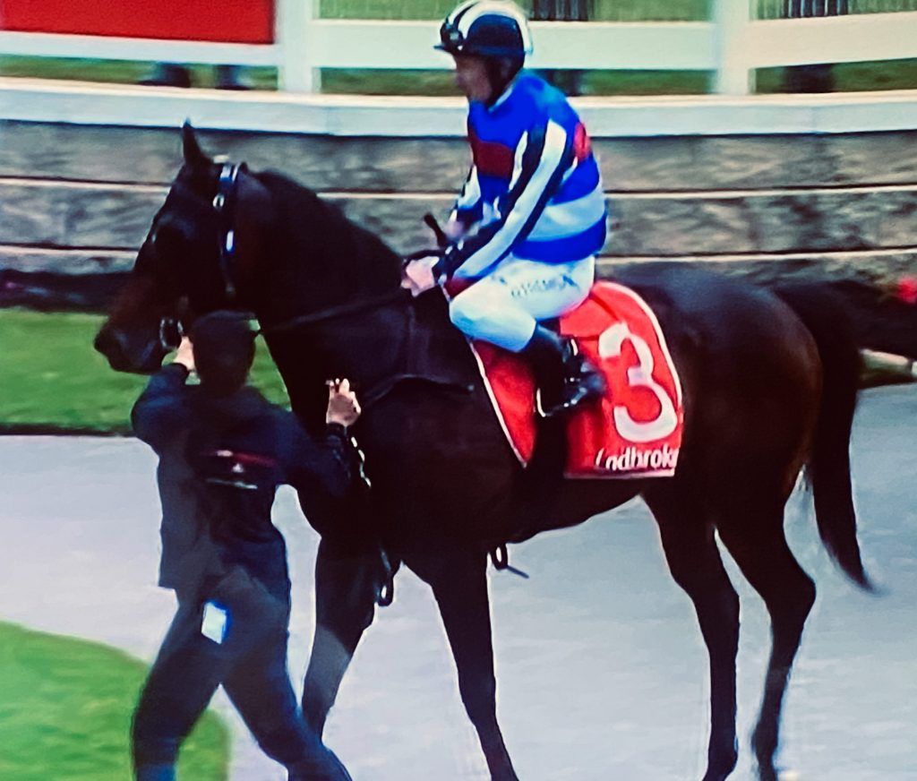 Impressive Enough - 888 Racing