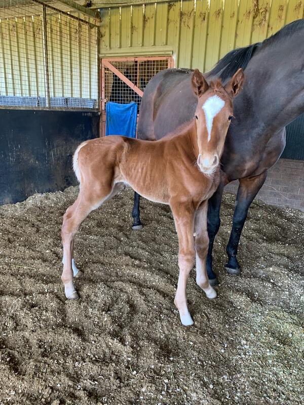 Brand new arrival! - Murray Racing