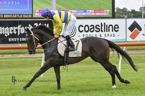 Our Horses - Murray Racing