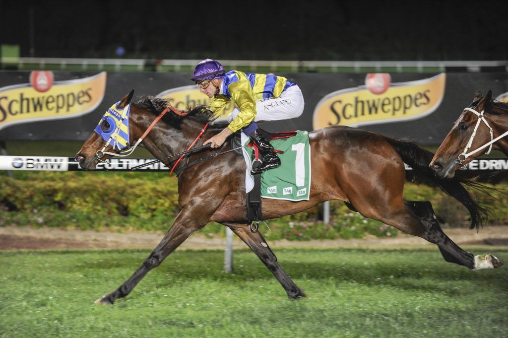 Australian Horse Trainer - Murray Racing