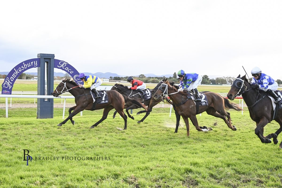 Australian Horse Trainer - Murray Racing