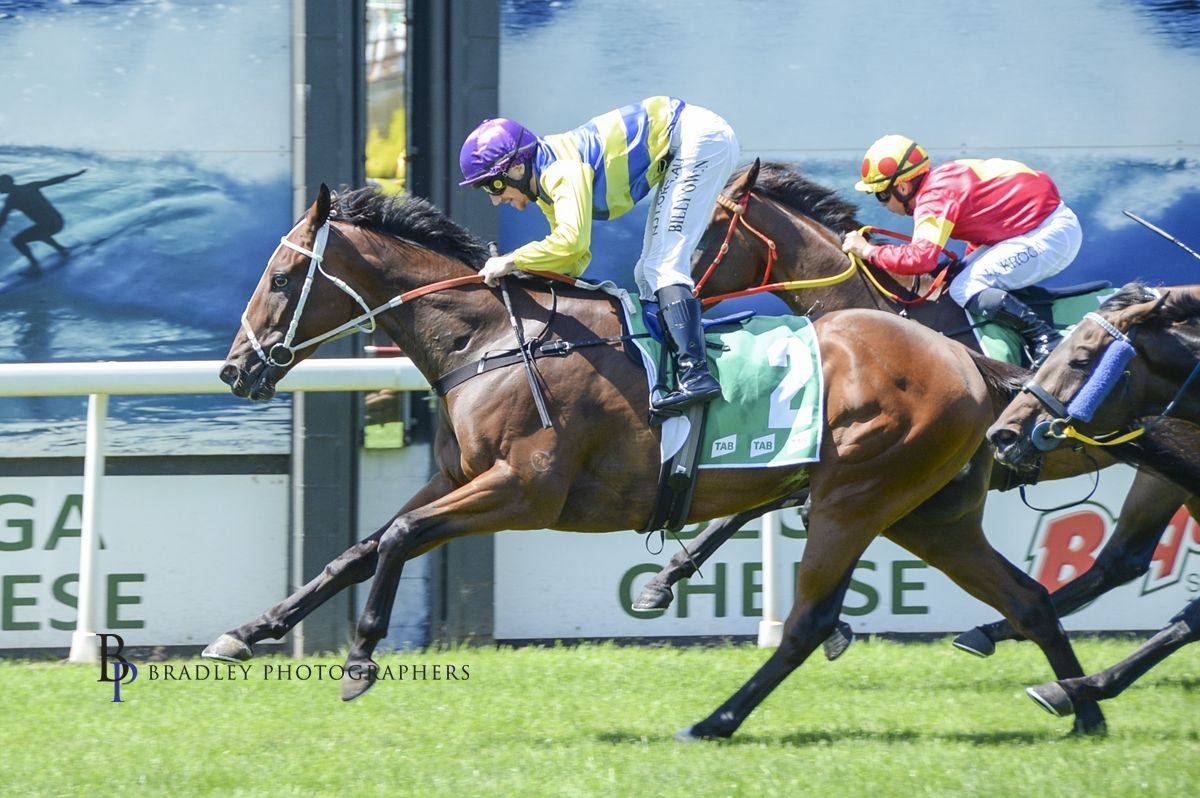 Direct to the finish line... - Murray Racing